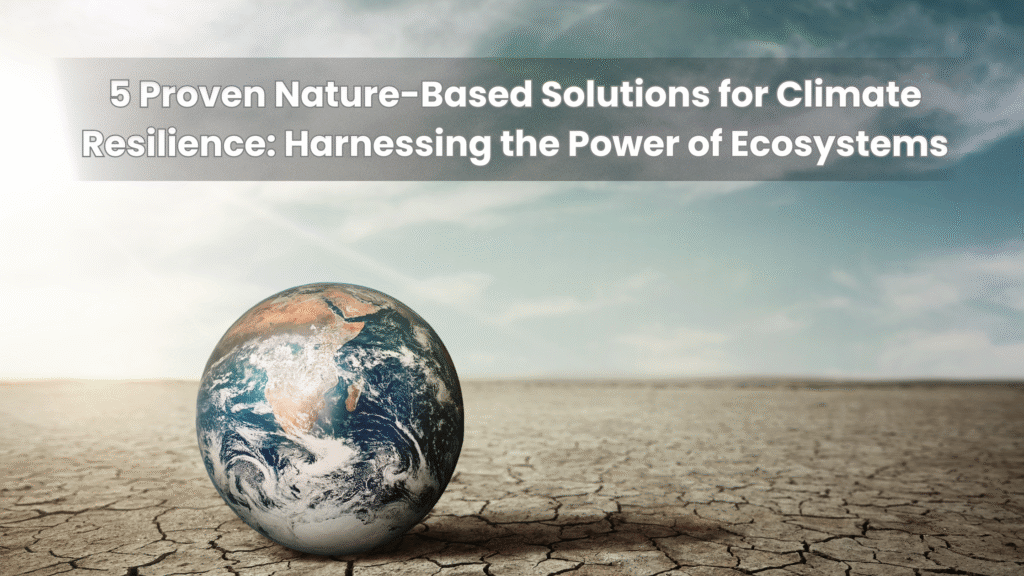 5 Proven Nature-Based Solutions for Climate Resilience: Harnessing the ...