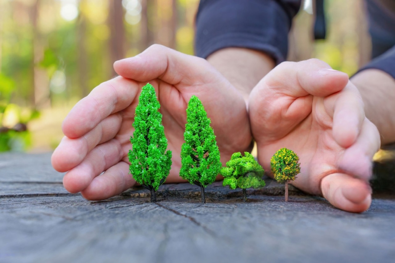 Restoring Ecosystem Balance: The Role of Habitat Restoration Projects ...